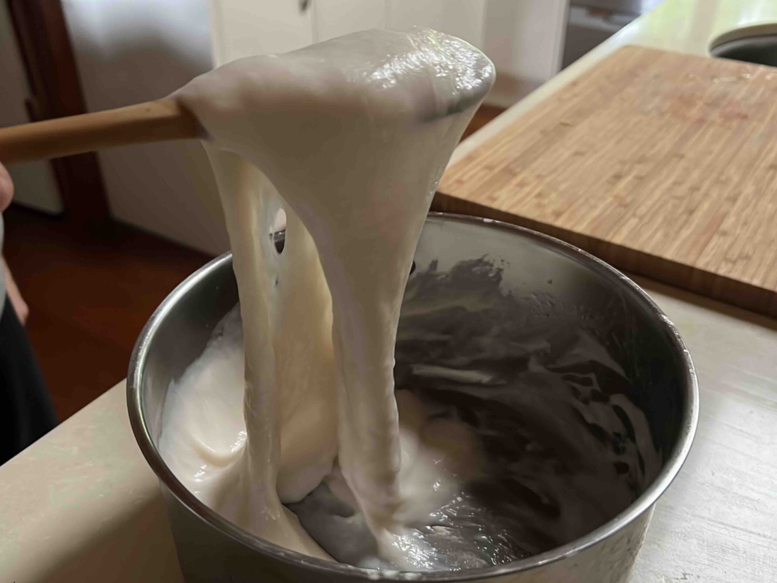 Tapioca Cheese (AIP,Paleo,Vegan,GF,DF) - Just Be YourSelf Blog!