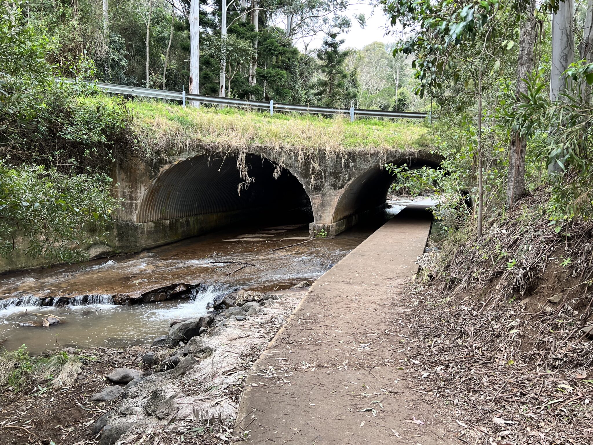 Top Waterfalls to Visit Near Gold Coast & Brisbane - Just Be Your Self Blog