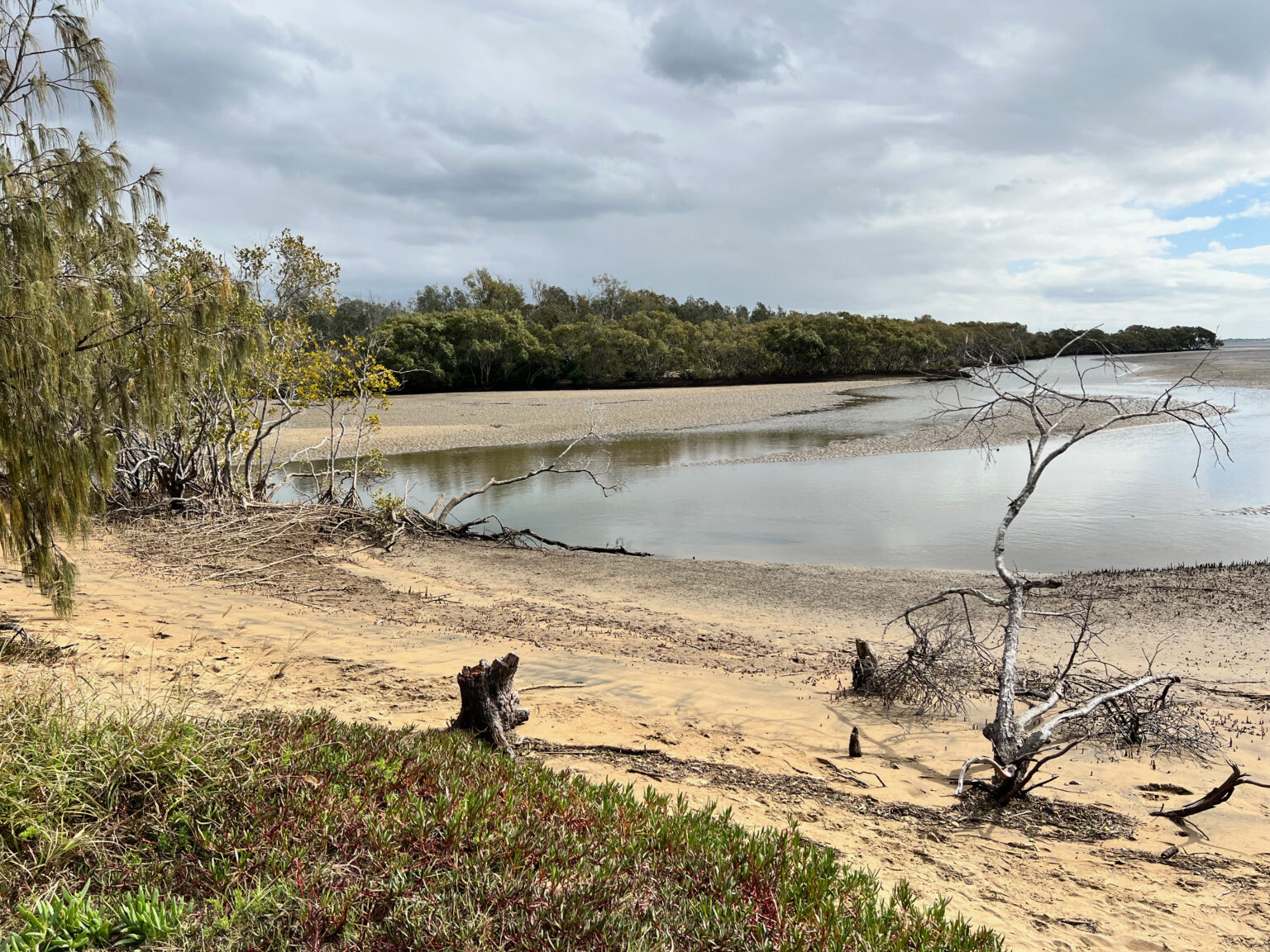 Exploring the Natural Beauty of Boondall Wetlands - Just Be Your Self Blog