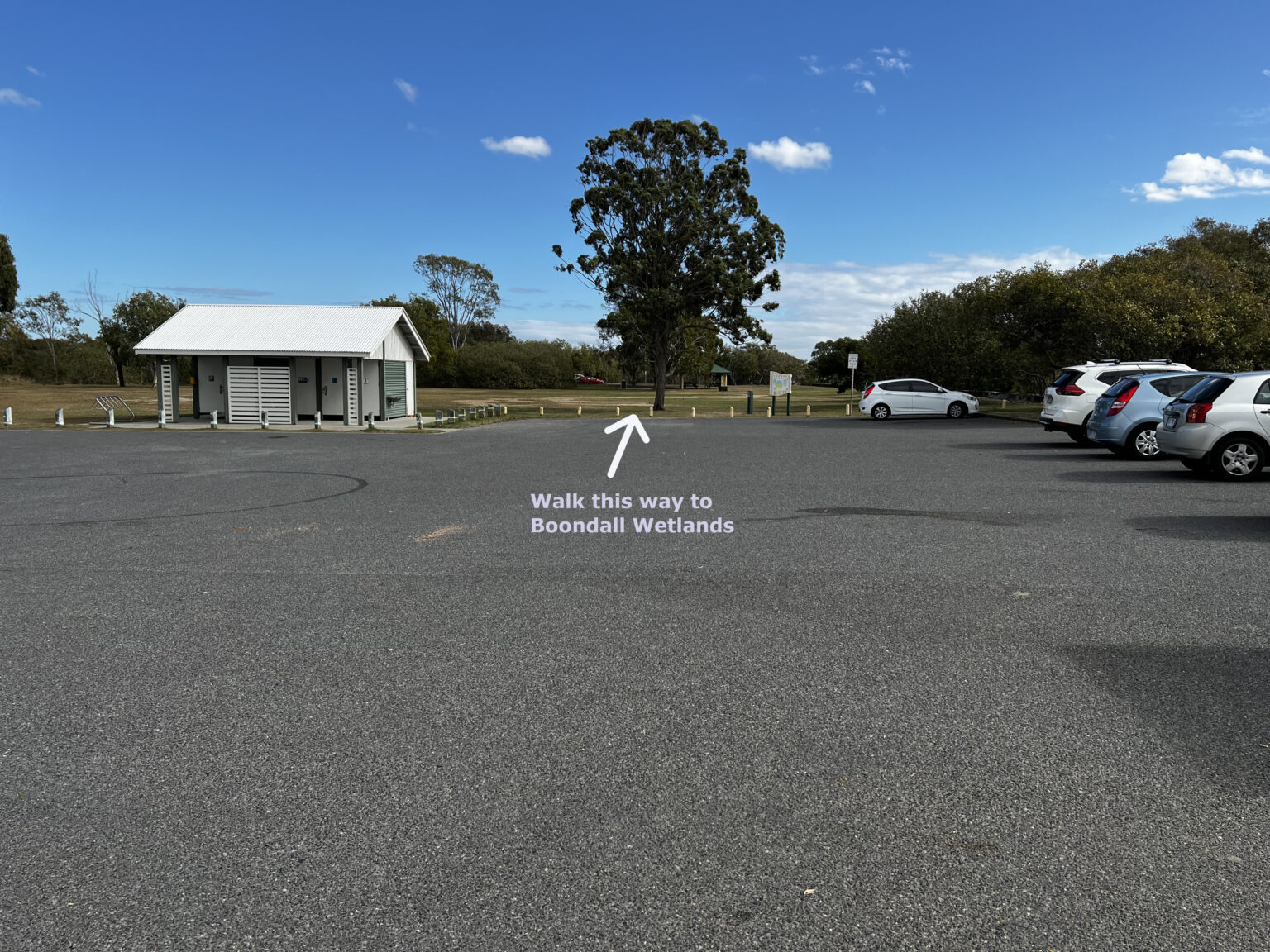 Exploring the Natural Beauty of Boondall Wetlands - Just Be Your Self Blog