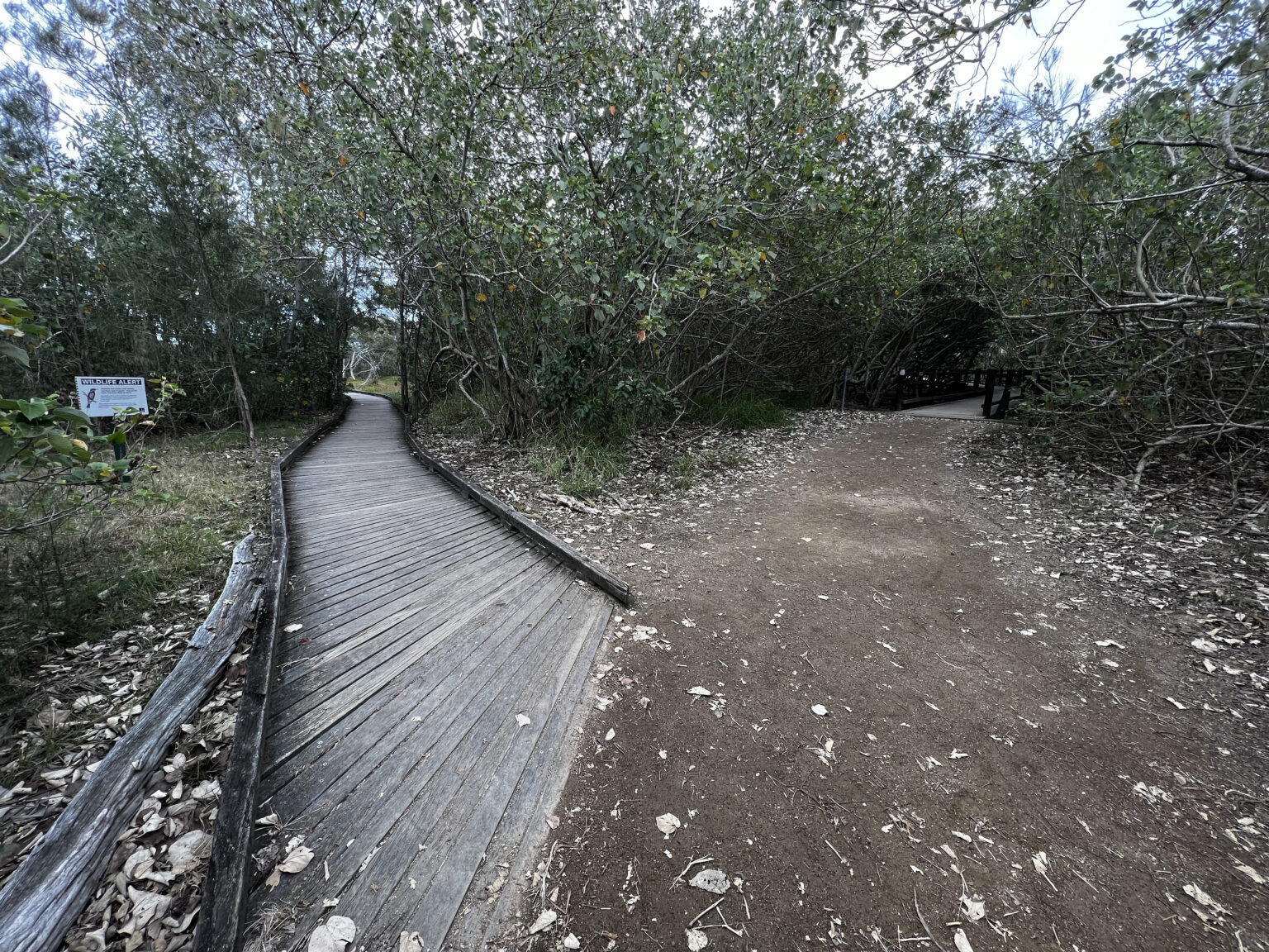 Exploring the Natural Beauty of Boondall Wetlands - Just Be Your Self Blog