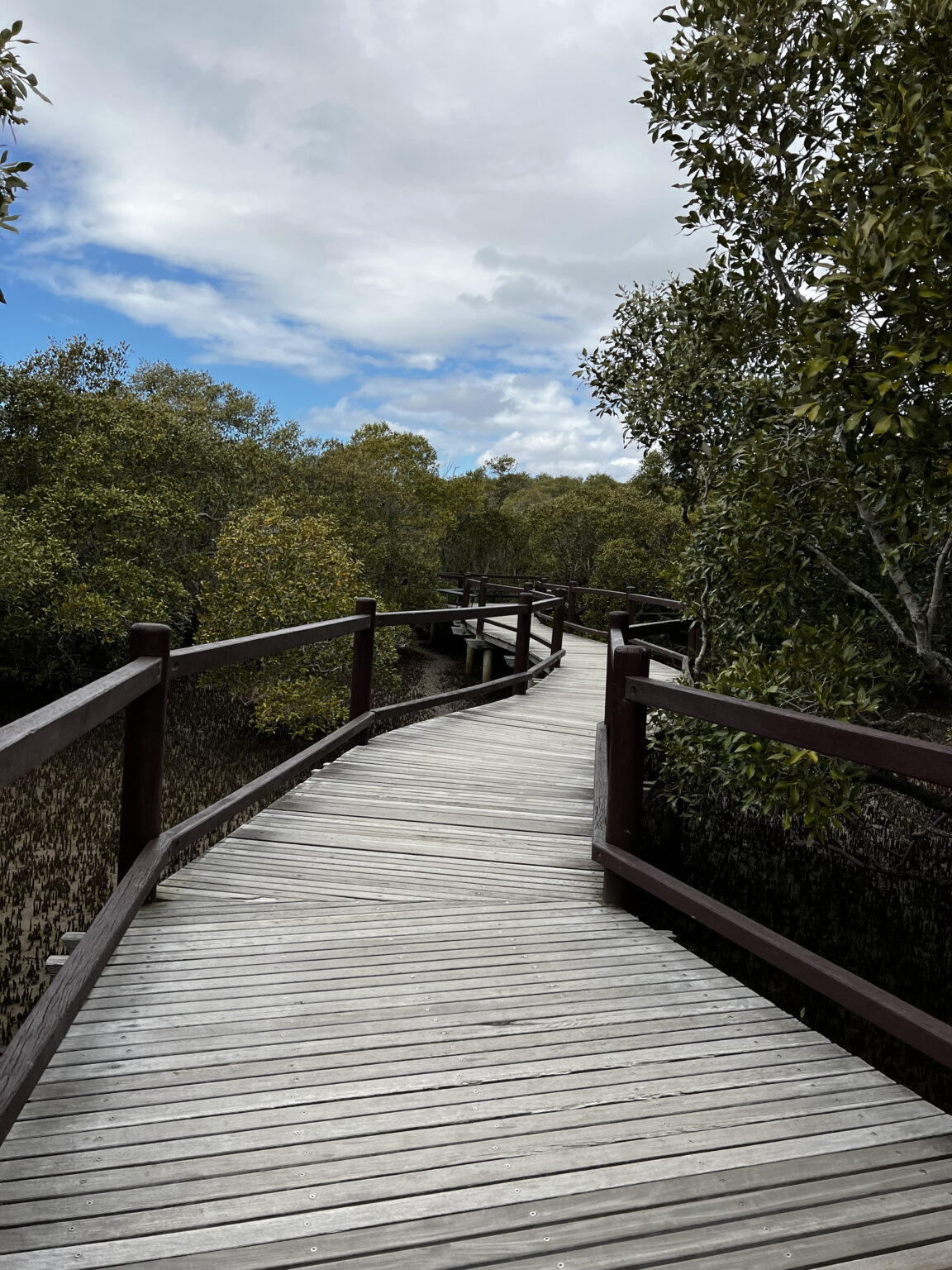 Exploring the Natural Beauty of Boondall Wetlands - Just Be Your Self Blog