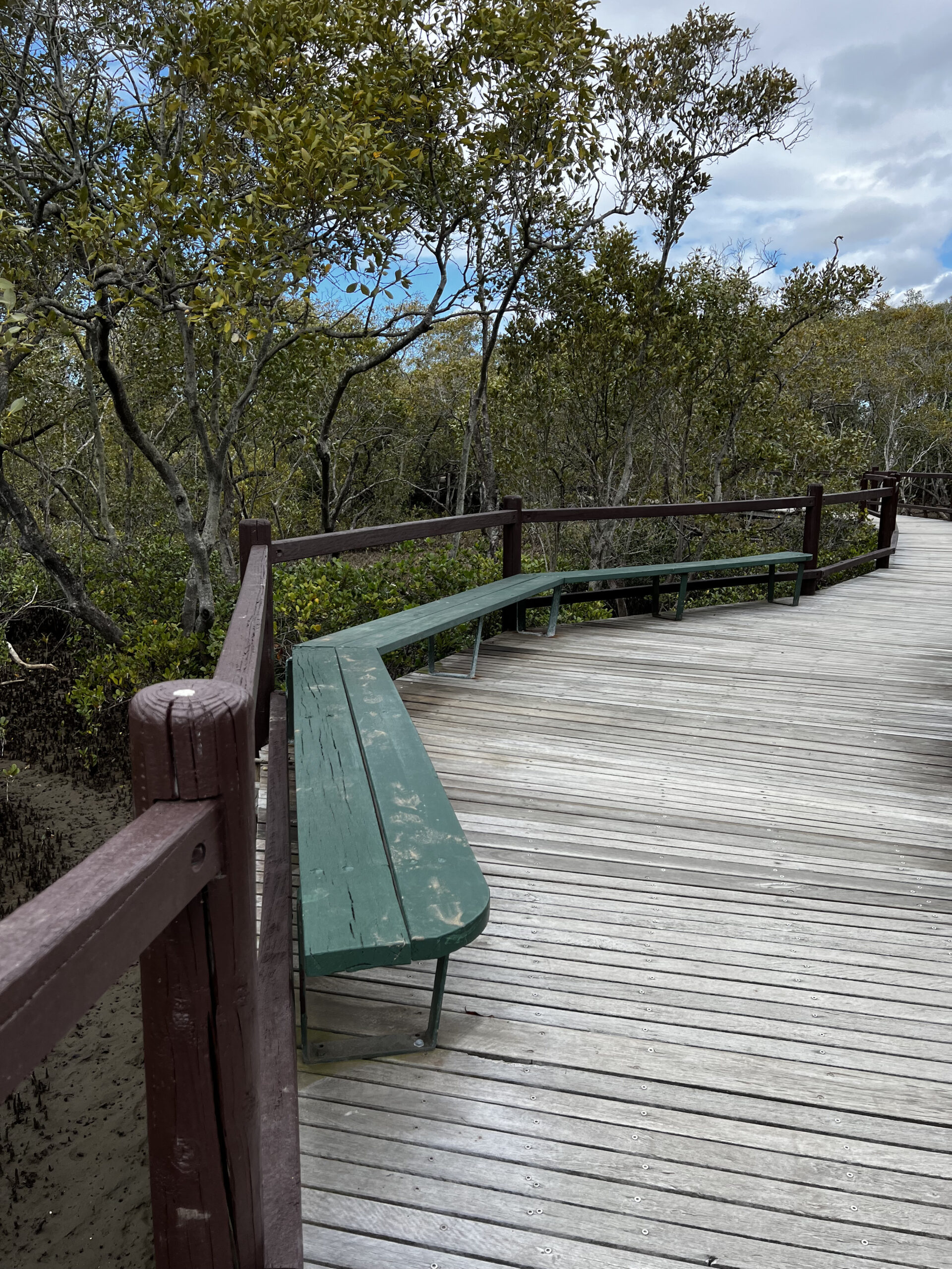 Exploring the Natural Beauty of Boondall Wetlands - Just Be Your Self Blog