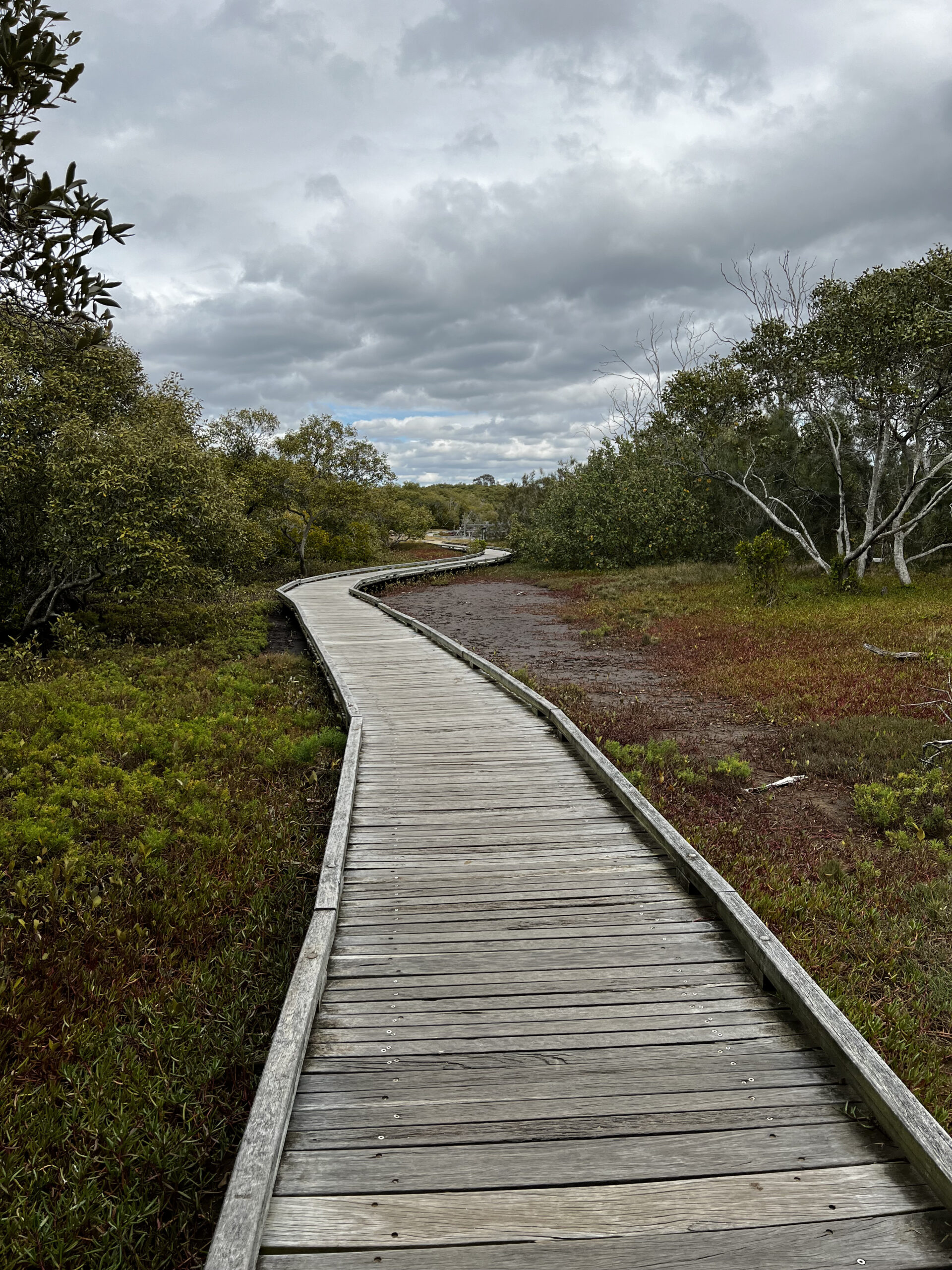 Exploring the Natural Beauty of Boondall Wetlands - Just Be Your Self Blog