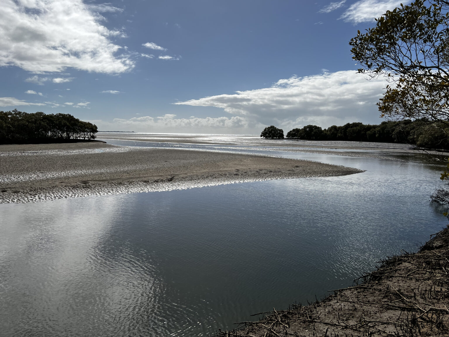Exploring the Natural Beauty of Boondall Wetlands - Just Be Your Self Blog