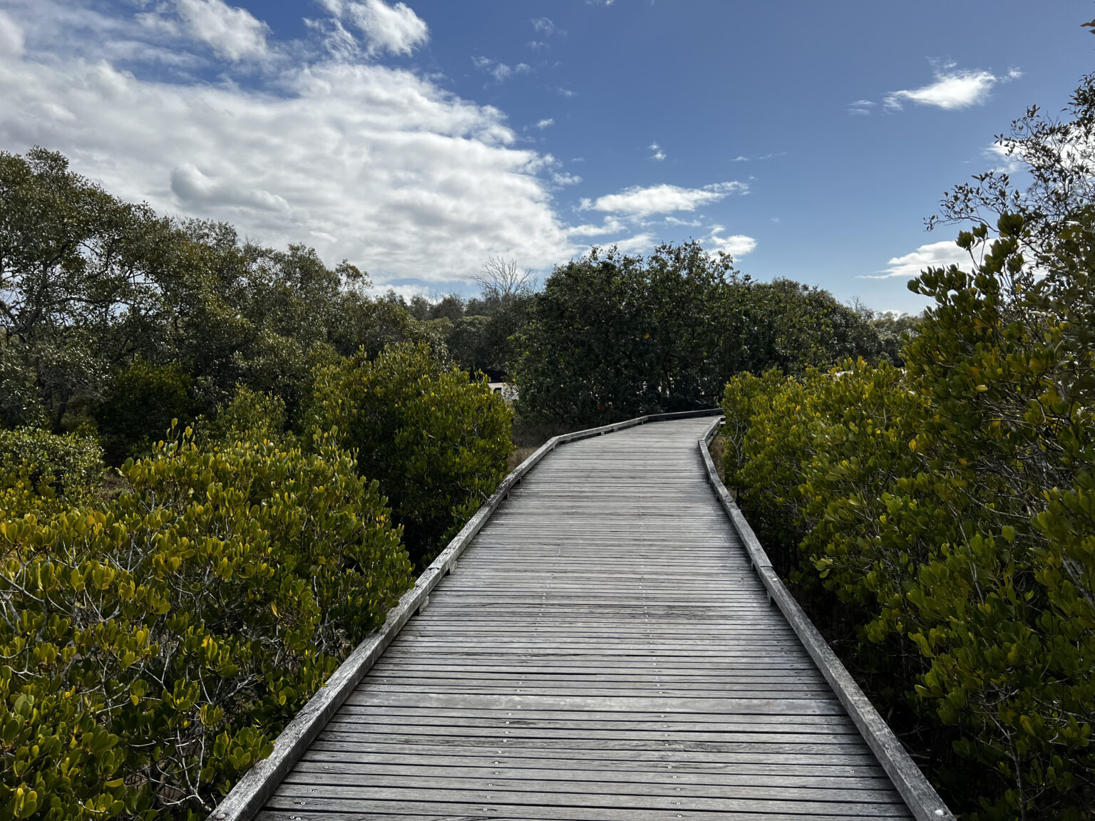 Exploring the Natural Beauty of Boondall Wetlands - Just Be Your Self Blog