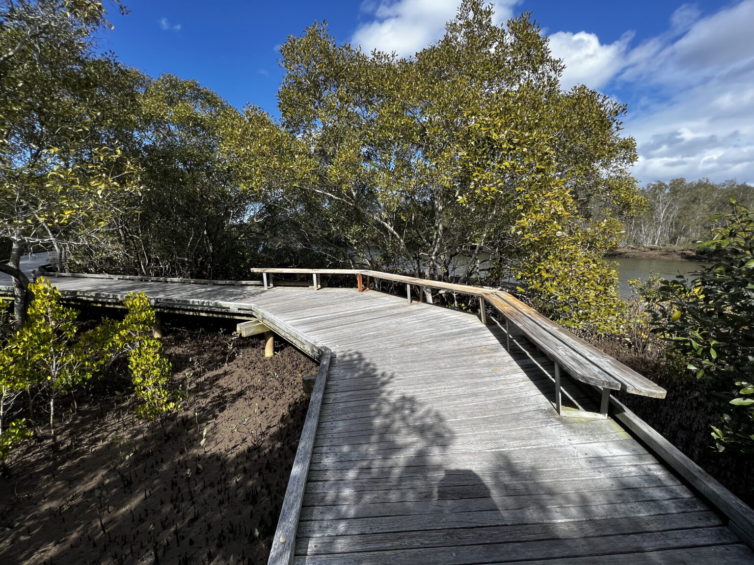 Exploring the Natural Beauty of Boondall Wetlands - Just Be Your Self Blog