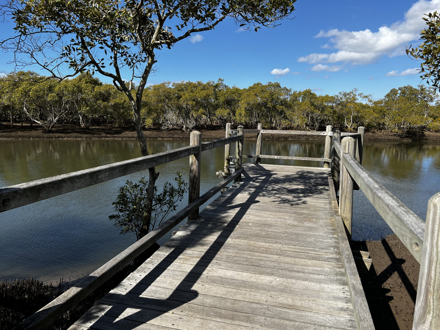 Exploring the Natural Beauty of Boondall Wetlands - Just Be Your Self Blog