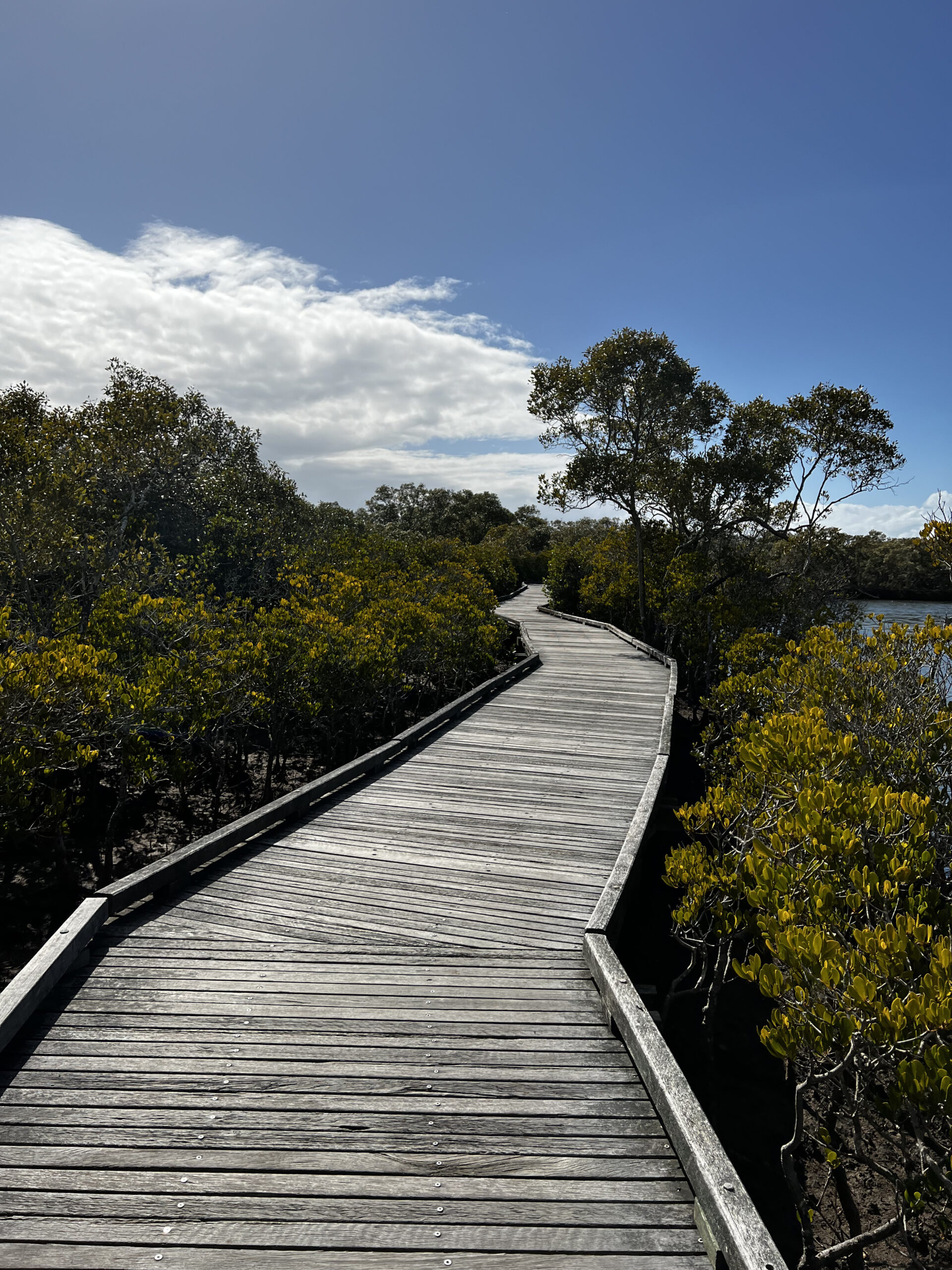 Exploring the Natural Beauty of Boondall Wetlands - Just Be Your Self Blog