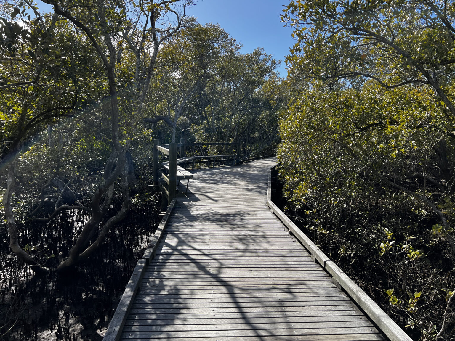 Exploring the Natural Beauty of Boondall Wetlands - Just Be Your Self Blog