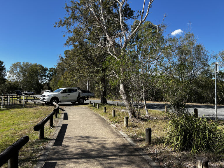 Exploring the Natural Beauty of Boondall Wetlands - Just Be Your Self Blog