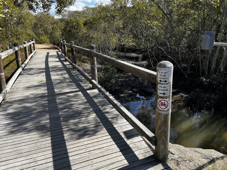 Exploring the Natural Beauty of Boondall Wetlands - Just Be Your Self Blog