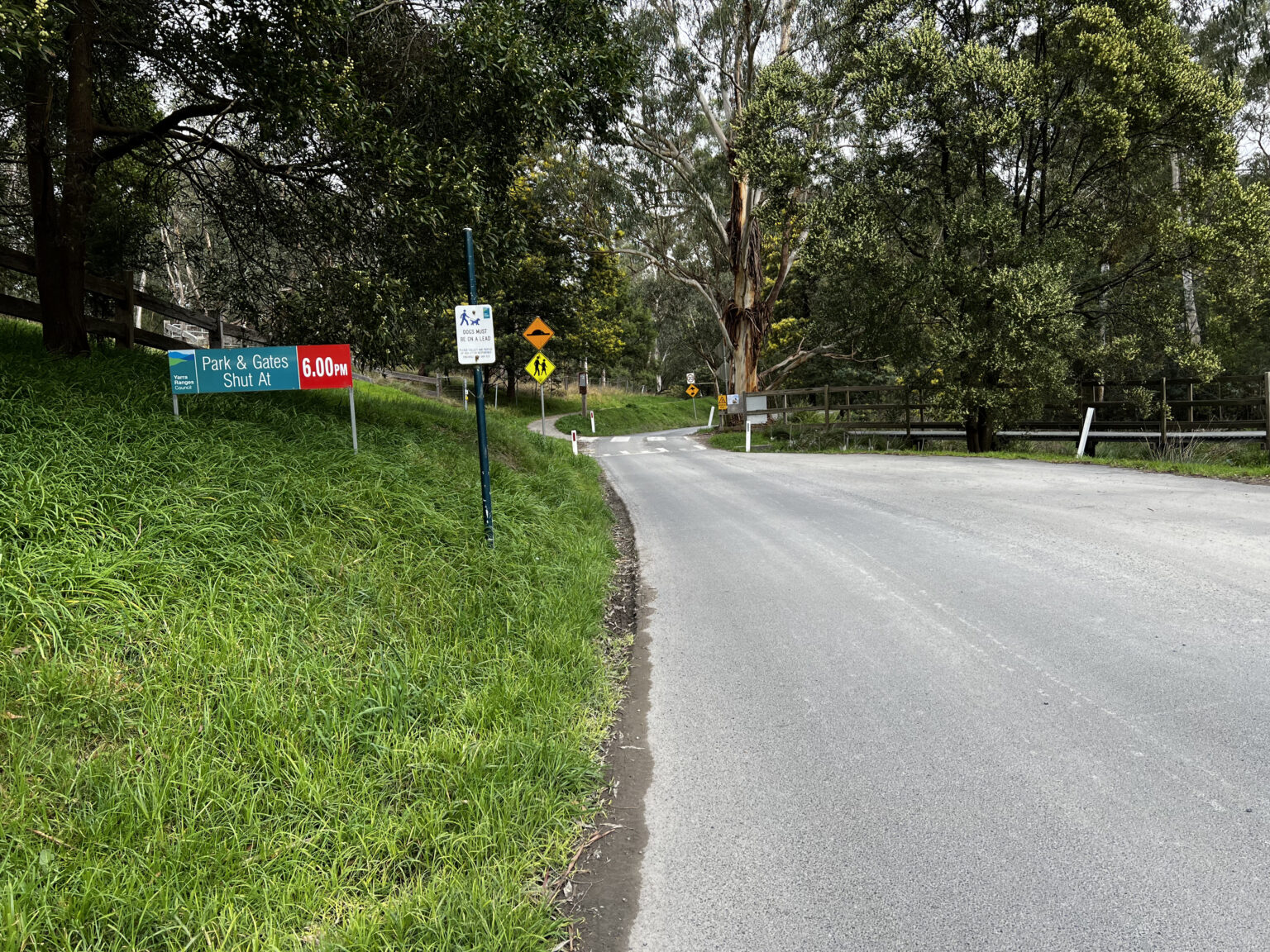 Birdsland Reserve: A Tranquil Natural Haven - Just Be Your Self Blog