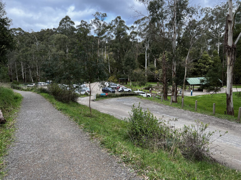 Birdsland Reserve: A Tranquil Natural Haven