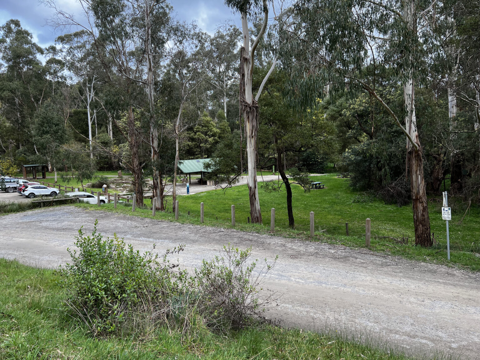 Birdsland Reserve: A Tranquil Natural Haven