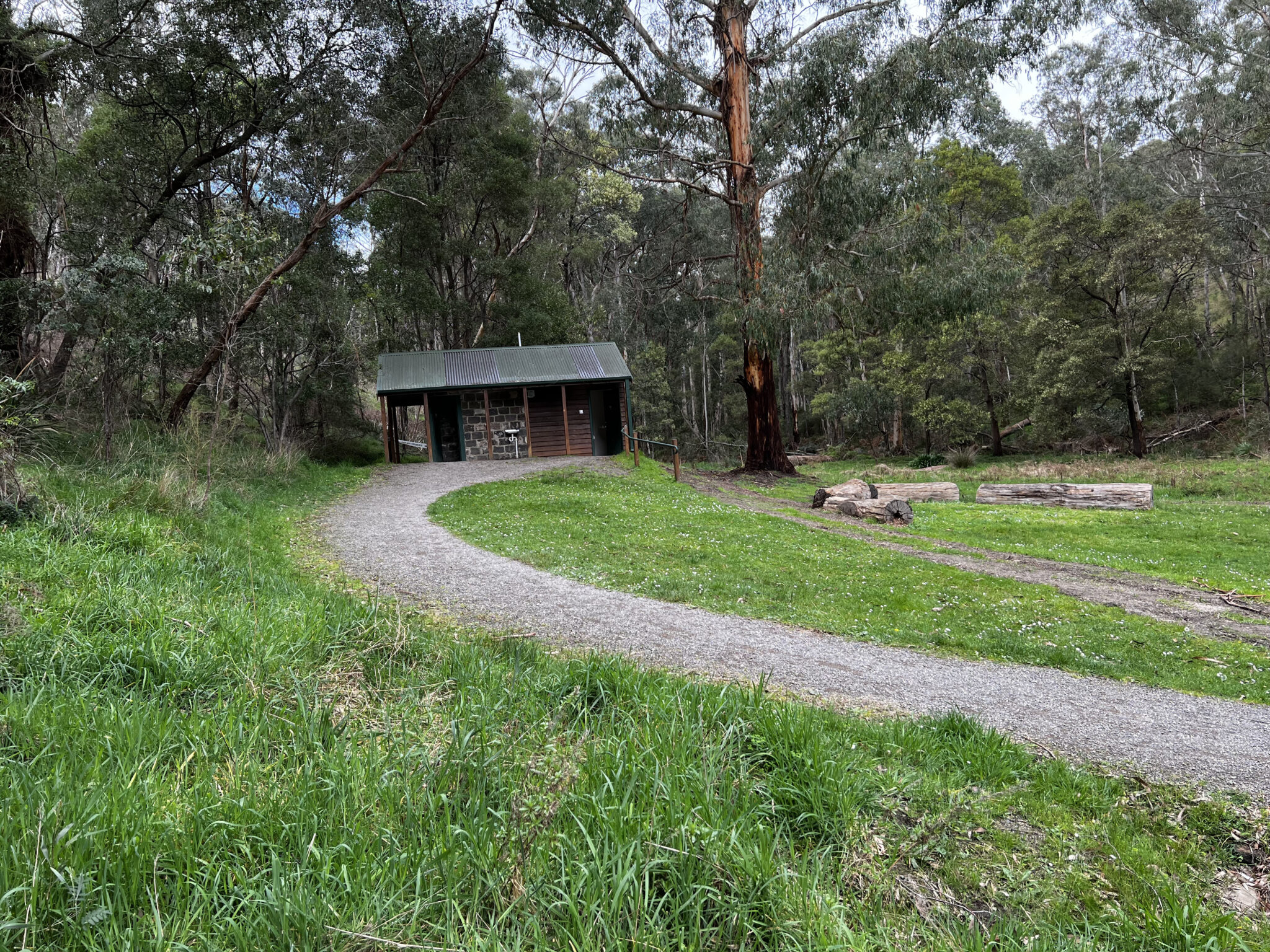 Birdsland Reserve Hill Track to Mt Morton Road: A Scenic Adventure ...