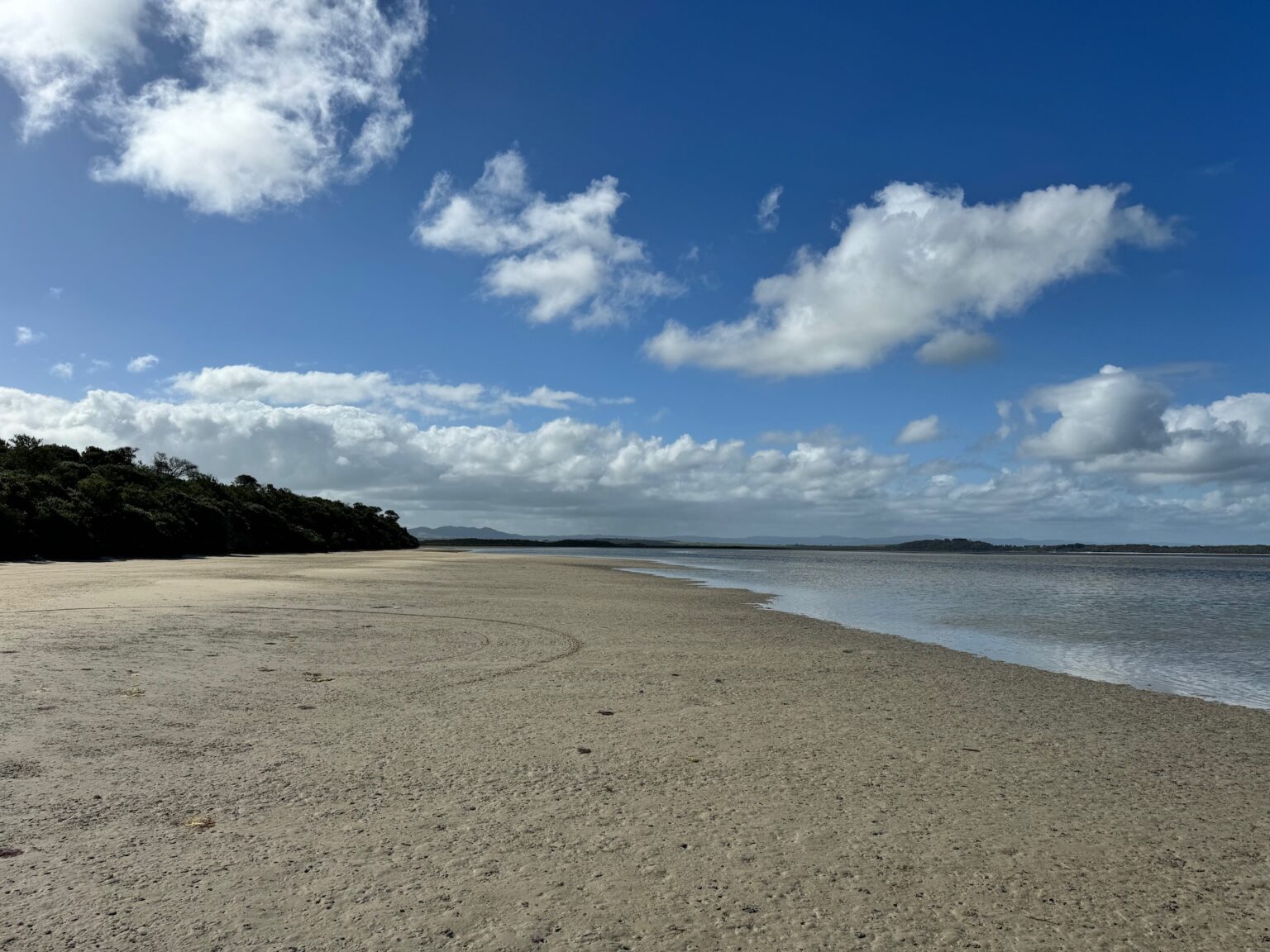 Exploring Sandy Point: Shallow Inlet Marine and Coastal Park