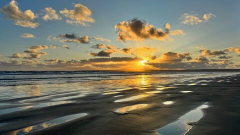 Sandy Point: Exploring the Tranquil Beauty of Waratah Bay and Shallow ...