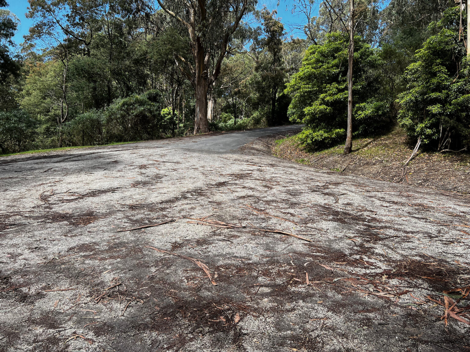 Agnes Falls: Victoria’s Natural Wonder - Just Be Your Self Blog