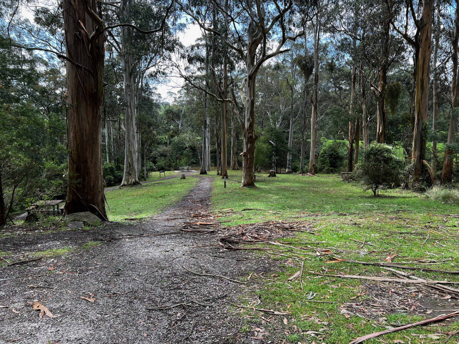 Agnes Falls: Victoria’s Natural Wonder - Just Be Your Self Blog