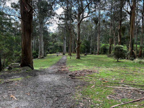 Agnes Falls: Victoria’s Natural Wonder - Just Be Your Self Blog