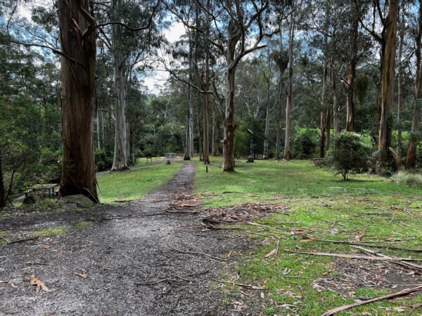 Agnes Falls: Victoria’s Natural Wonder - Just Be Your Self Blog