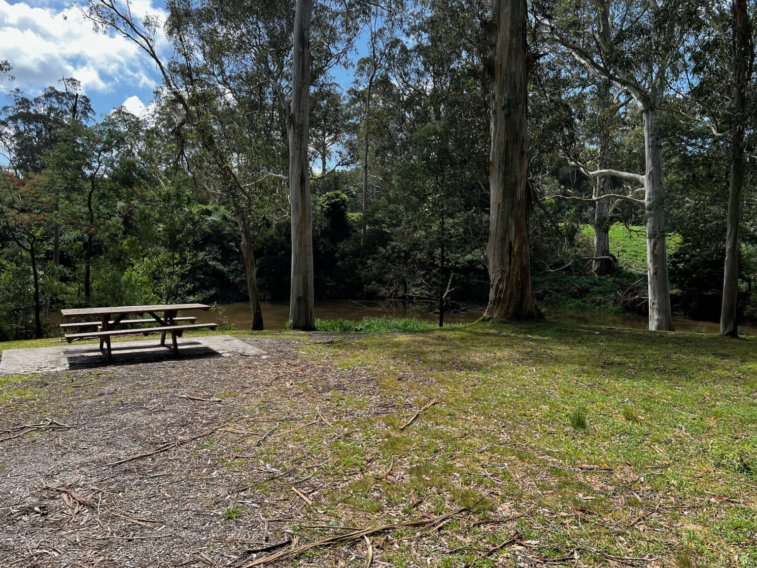 Agnes Falls: Victoria’s Natural Wonder - Just Be Your Self Blog
