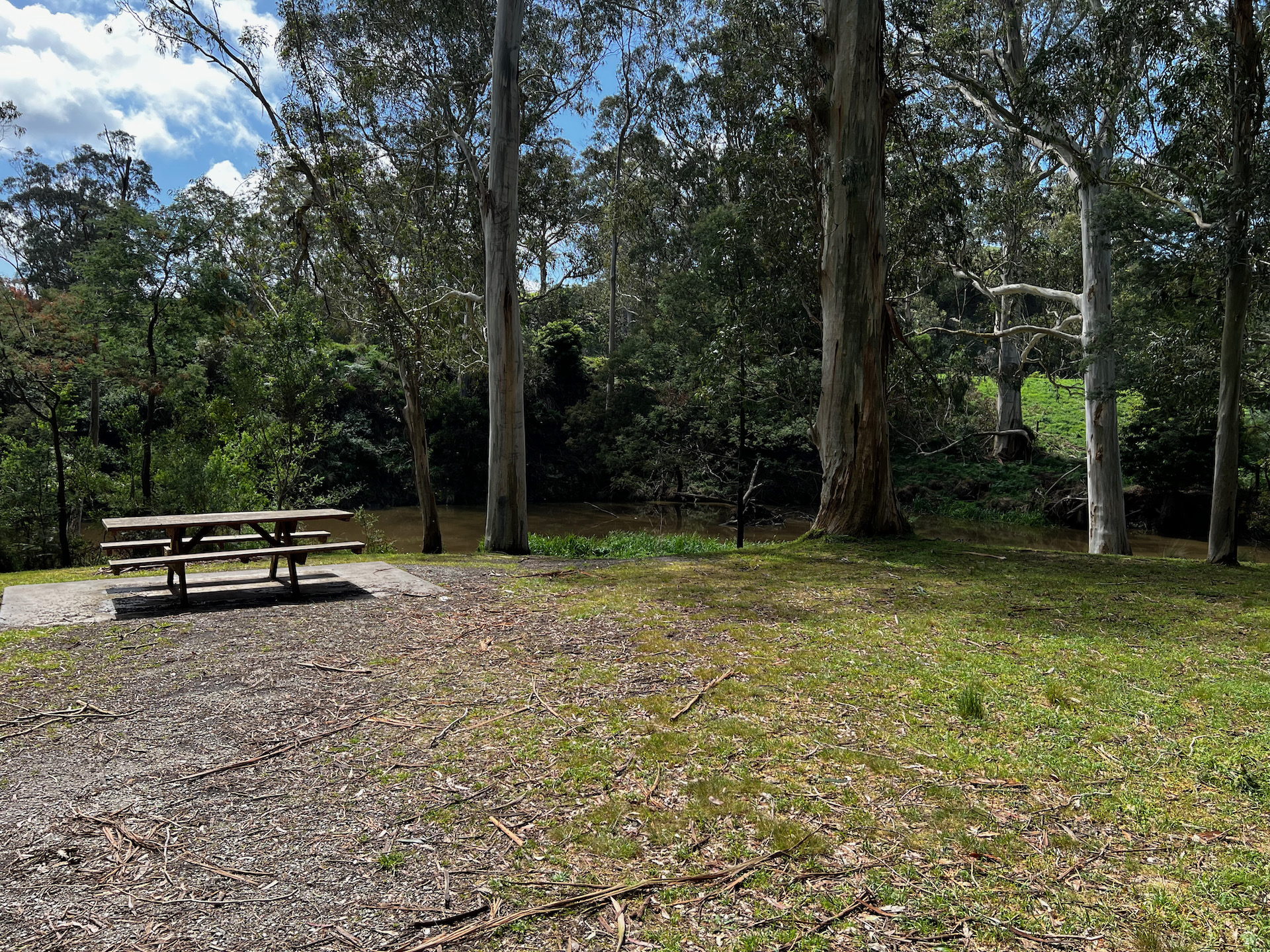 Agnes Falls: Victoria’s Natural Wonder - Just Be Your Self Blog