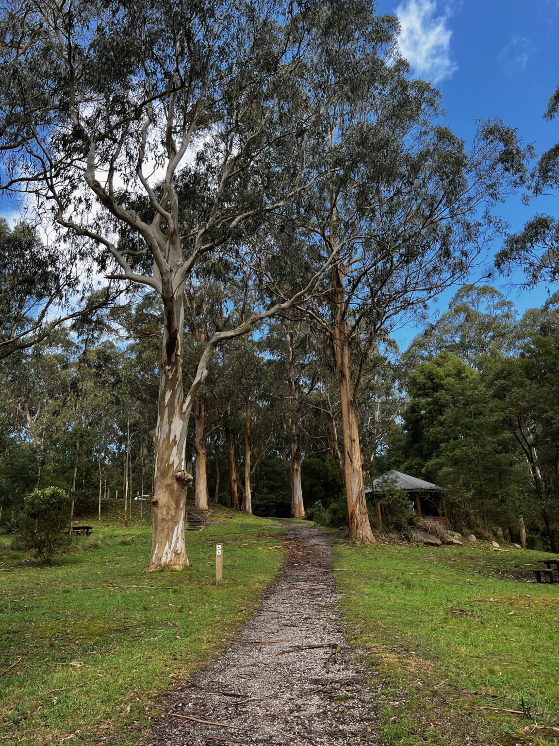 Agnes Falls: Victoria’s Natural Wonder - Just Be Your Self Blog