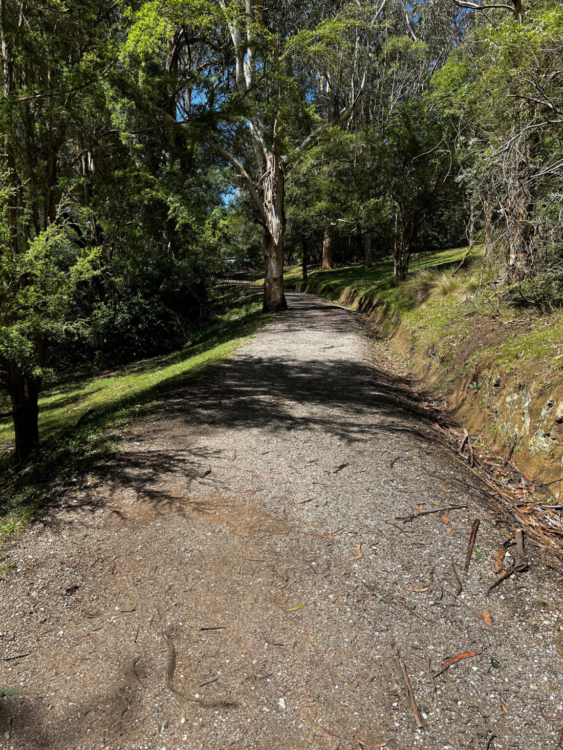 Agnes Falls: Victoria’s Natural Wonder - Just Be Your Self Blog