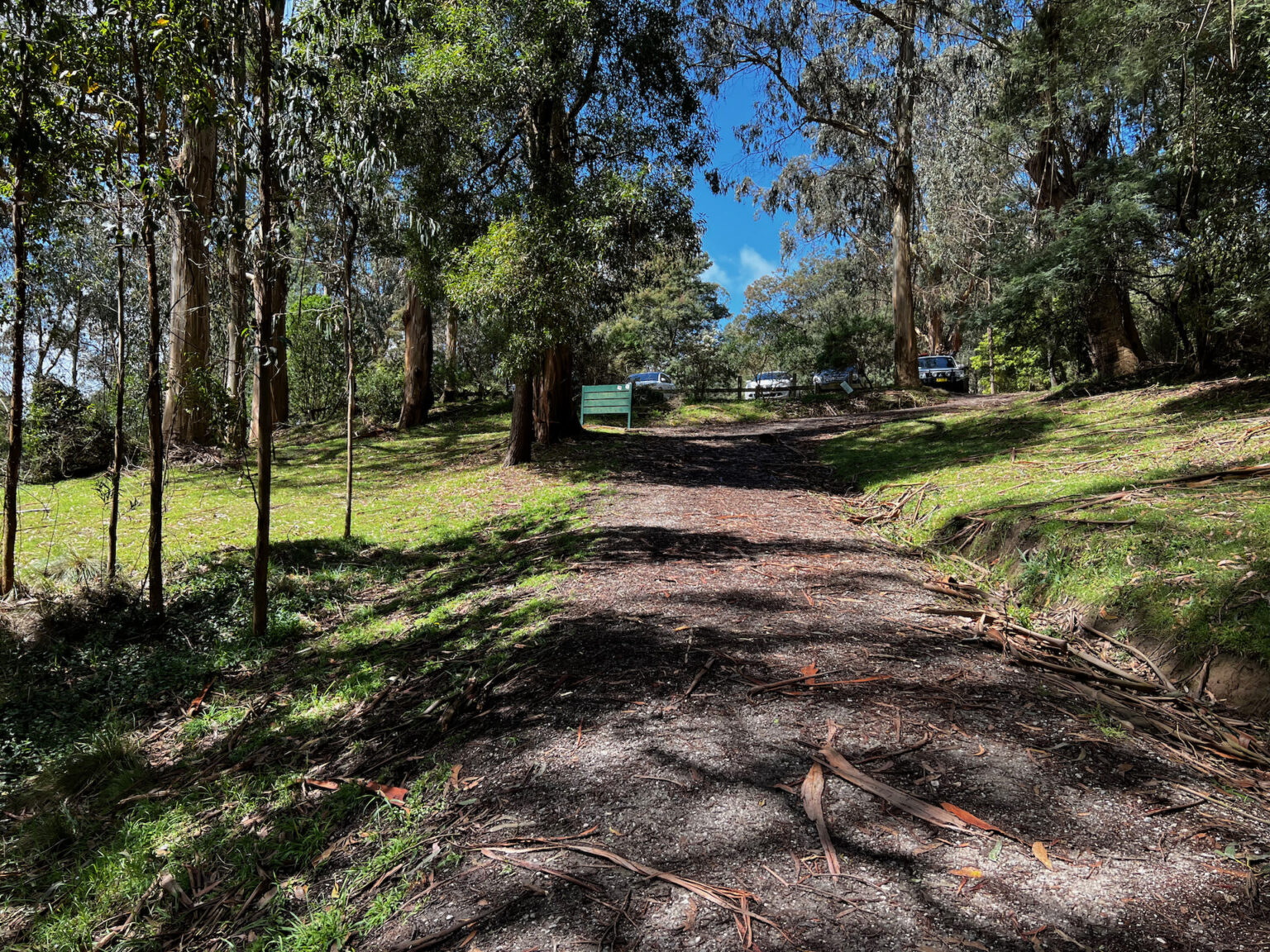 Agnes Falls: Victoria’s Natural Wonder - Just Be Your Self Blog