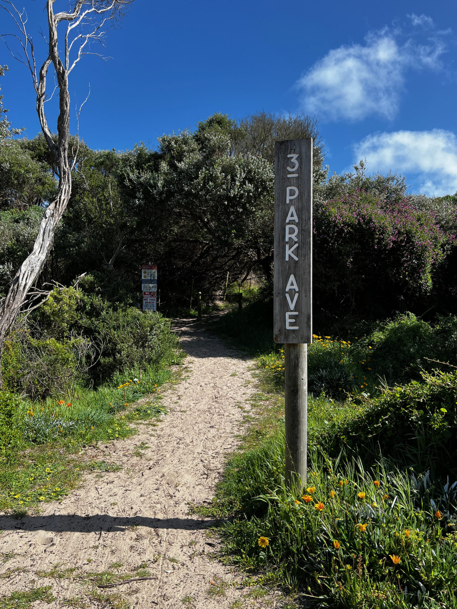 Sandy Point: Exploring the Tranquil Beauty of Waratah Bay and Shallow ...
