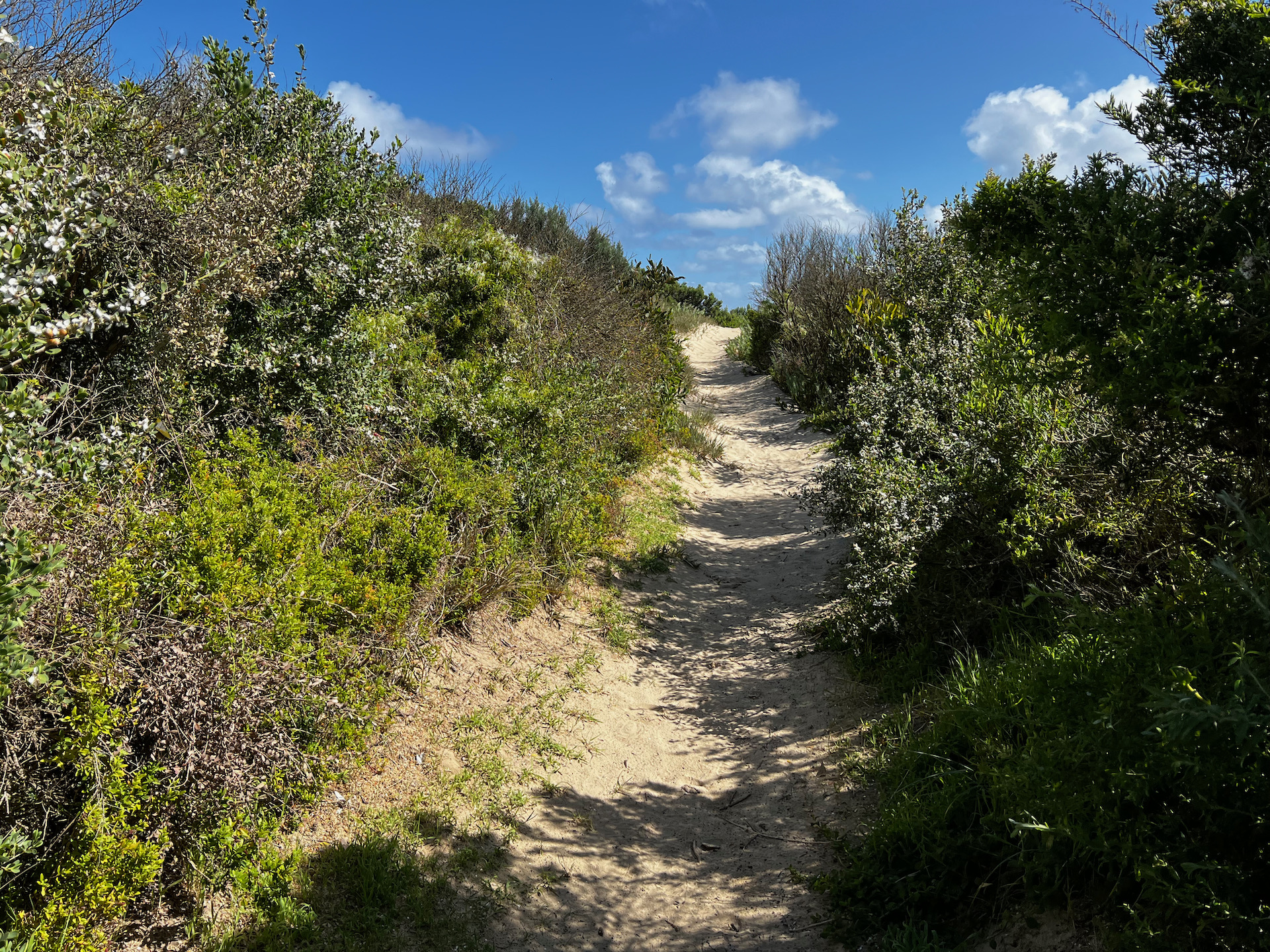 Sandy Point: Exploring the Tranquil Beauty of Waratah Bay and Shallow ...