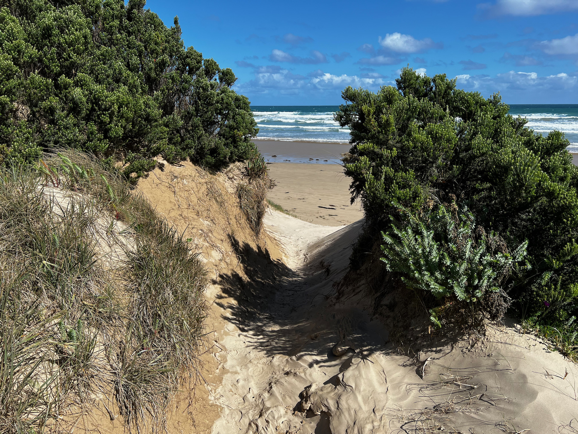 Sandy Point: Exploring the Tranquil Beauty of Waratah Bay and Shallow ...