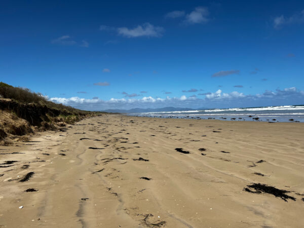 Sandy Point: Exploring the Tranquil Beauty of Waratah Bay and Shallow ...