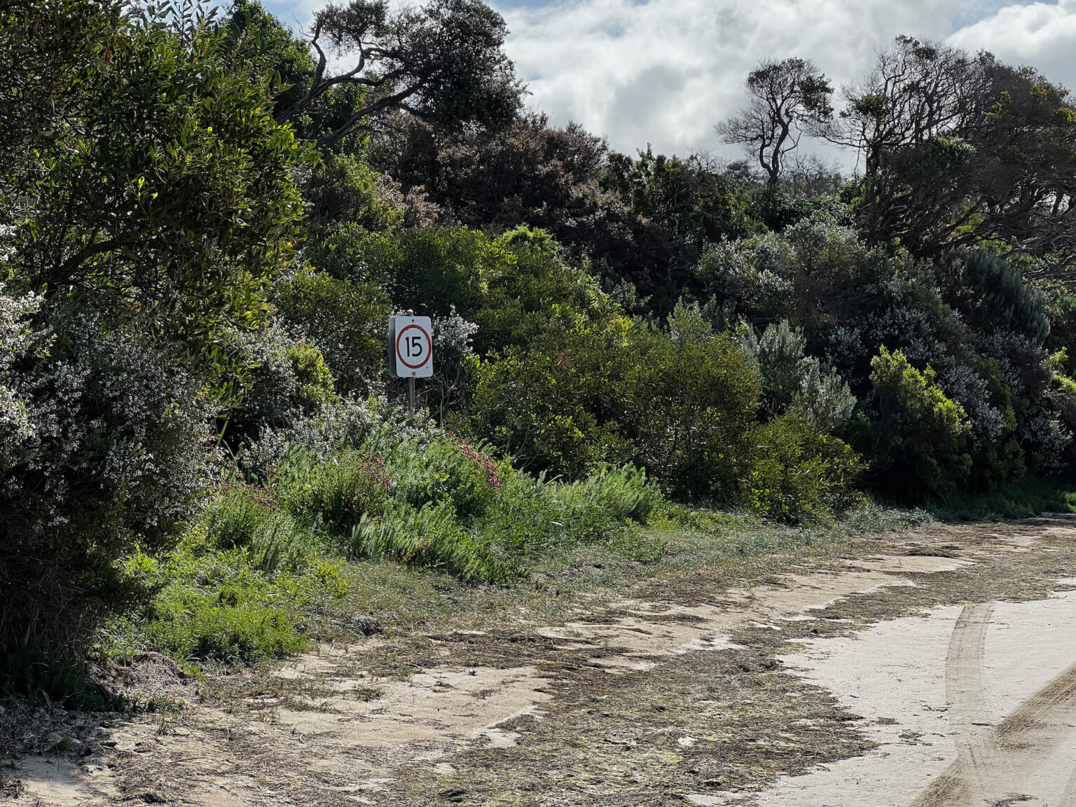 Exploring Sandy Point: Shallow Inlet Marine and Coastal Park - Just Be ...
