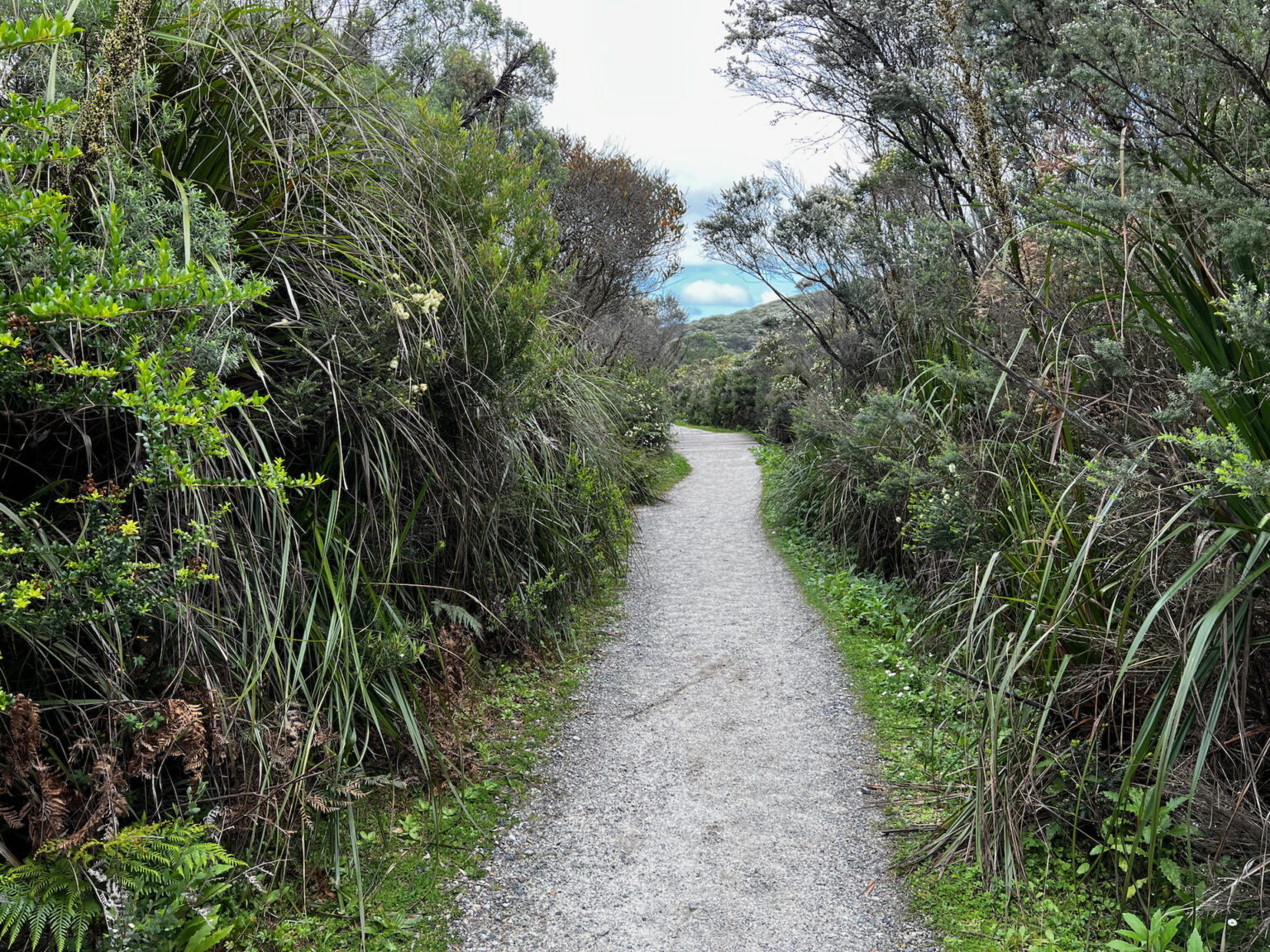 Squeaky Beach: Discover the Charm of Wilsons Promontory - Just Be Your ...