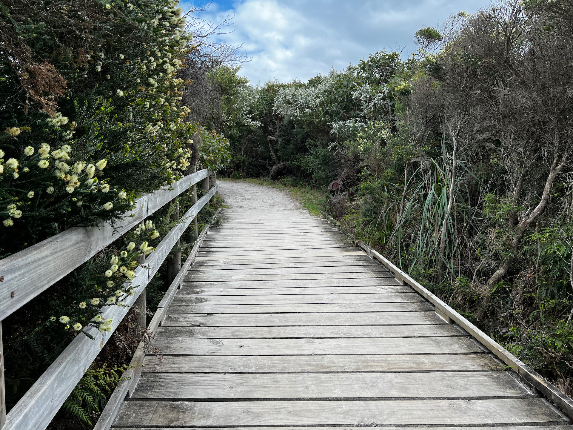 Squeaky Beach: Discover the Charm of Wilsons Promontory - Just Be Your ...