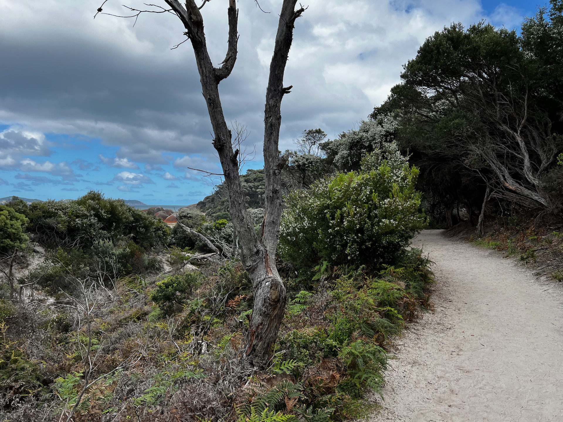 Squeaky Beach: Discover the Charm of Wilsons Promontory - Just Be Your ...