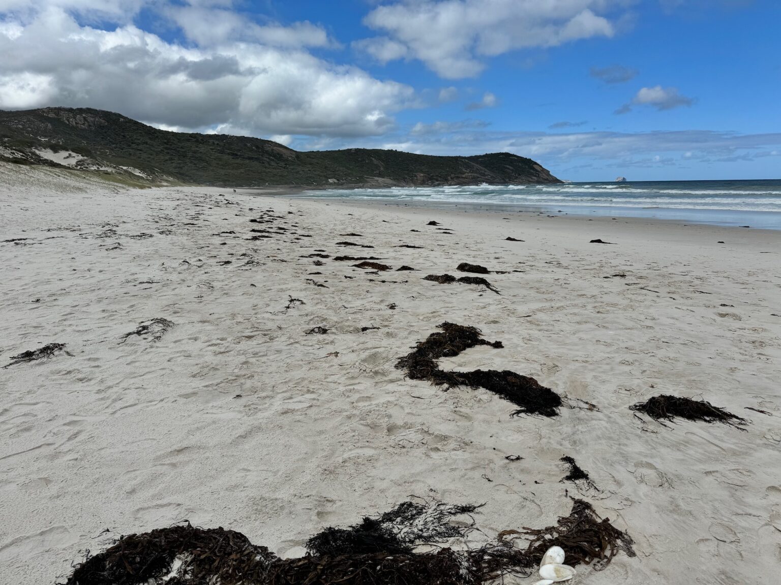 Squeaky Beach: Discover the Charm of Wilsons Promontory - Just Be Your ...