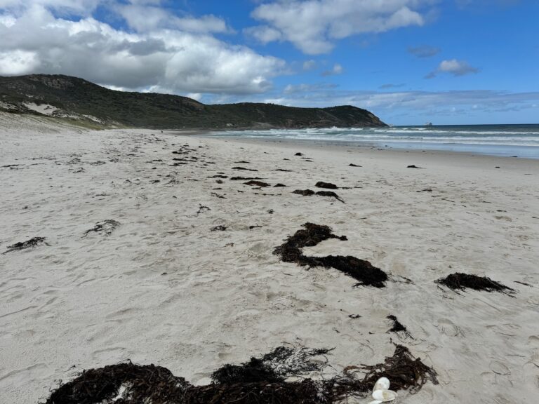 Squeaky Beach: Discover the Charm of Wilsons Promontory - Just Be Your ...