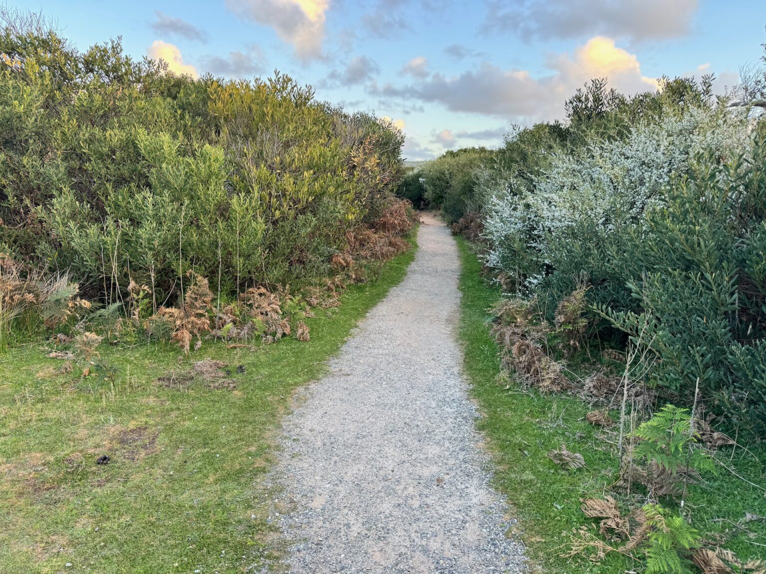 Exploring Nature: The Prom Wildlife Walk at Wilsons Promontory - Just ...