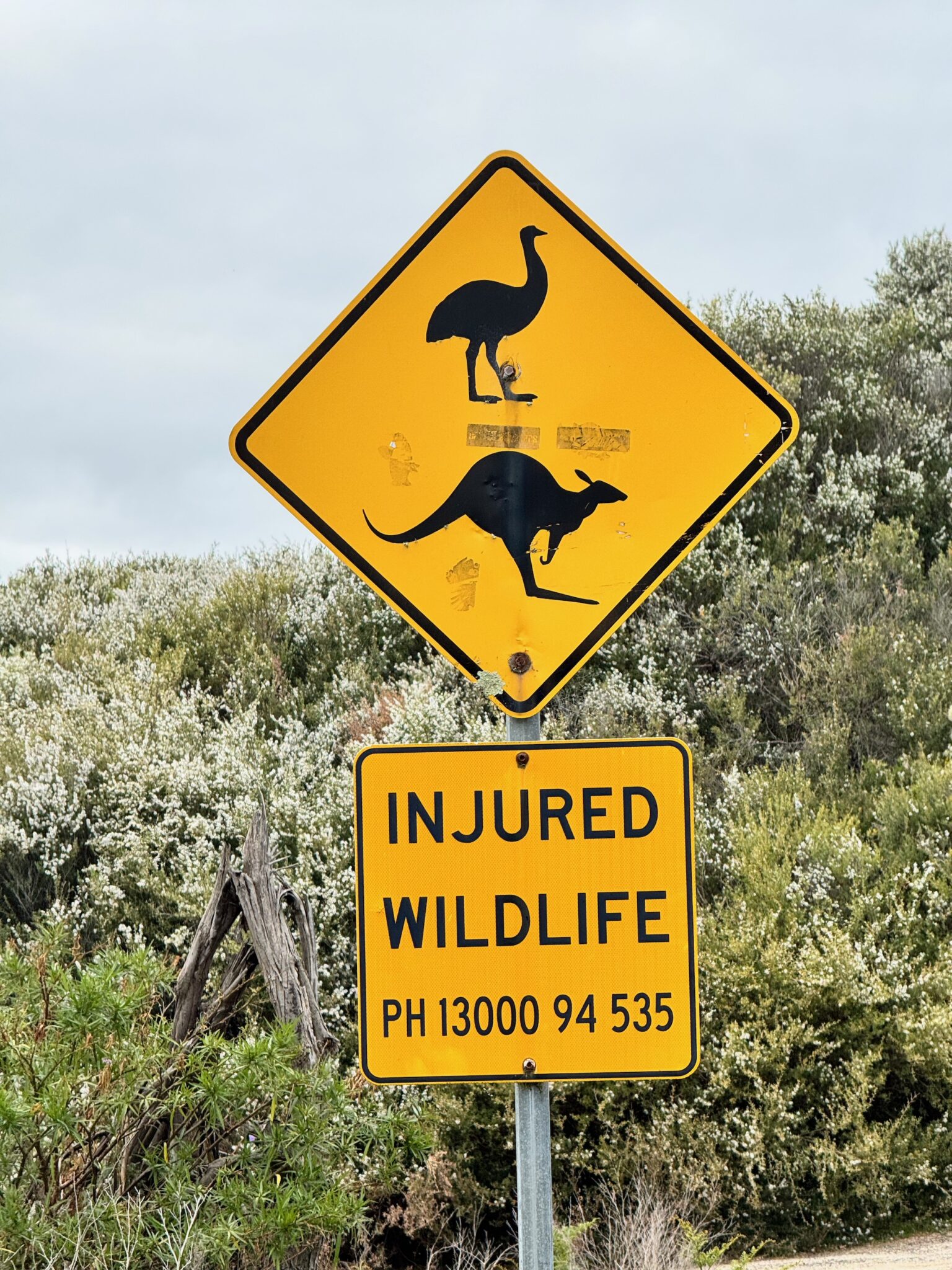Exploring Nature: The Prom Wildlife Walk at Wilsons Promontory - Just ...