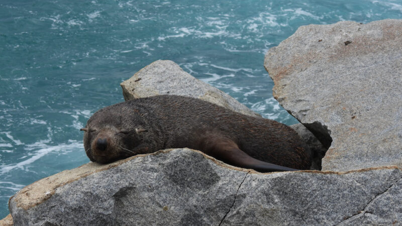 Narooma Part 1: Coastal Gem of Eurobodalla - Just Be Your Self Blog
