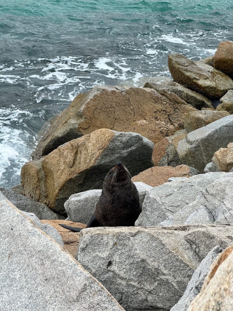 Narooma Part 1: Coastal Gem of Eurobodalla - Just Be Your Self Blog