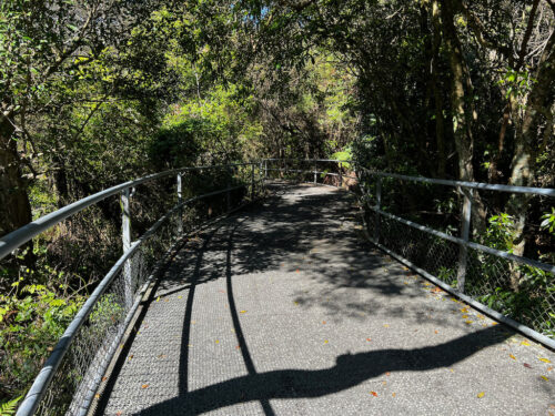 Fitzroy Falls: A Majestic Waterfall in the Heart of Nature - Just Be ...