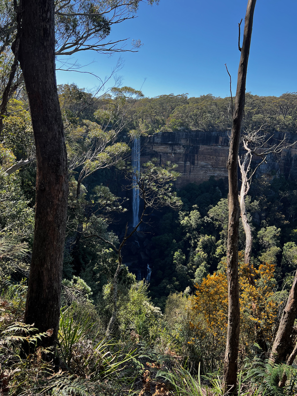 Fitzroy Falls: A Majestic Waterfall in the Heart of Nature - Just Be ...