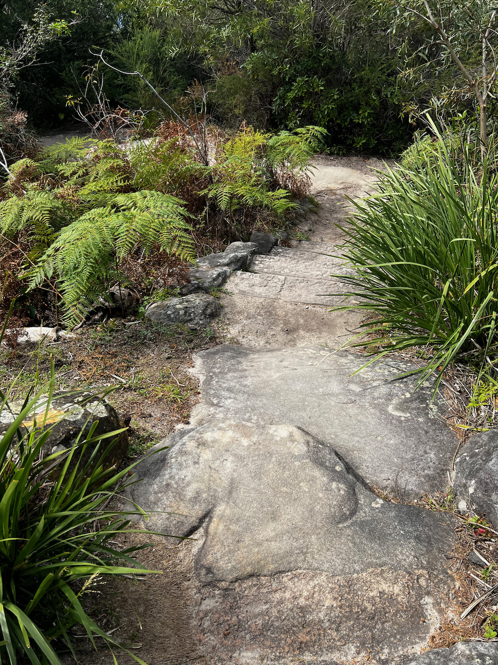 Guiding Light: Exploring Grotto Point Lighthouse, New South Wales ...